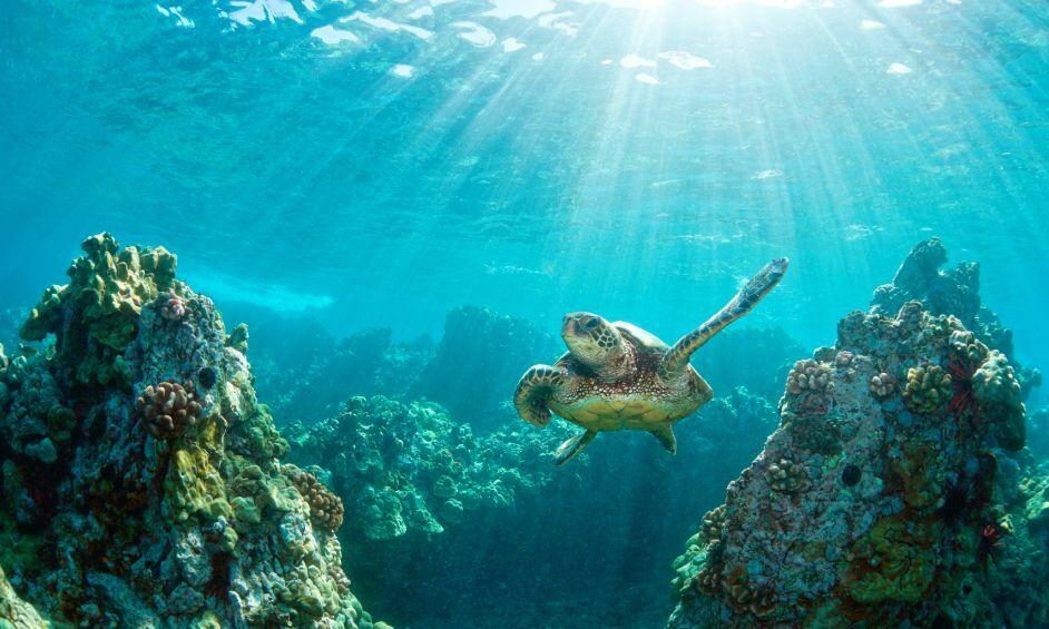 Why a Circular Economy is Key to Long-Term Sustainability for Nonwovens ...