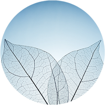 VEOCEL™ Translucency Technology: Naturally Smooth & Clean Lyocell Fibers